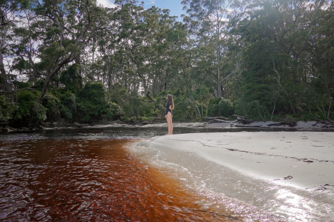 Green Patch Beach, Jervis Bay: Top 6 Things To Do