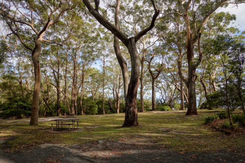 A Quick Guide To Booderee National Park Camping