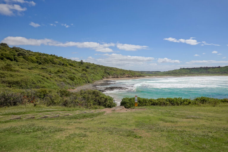 The Farm (Killalea Beach) – The Complete Visitor's Guide