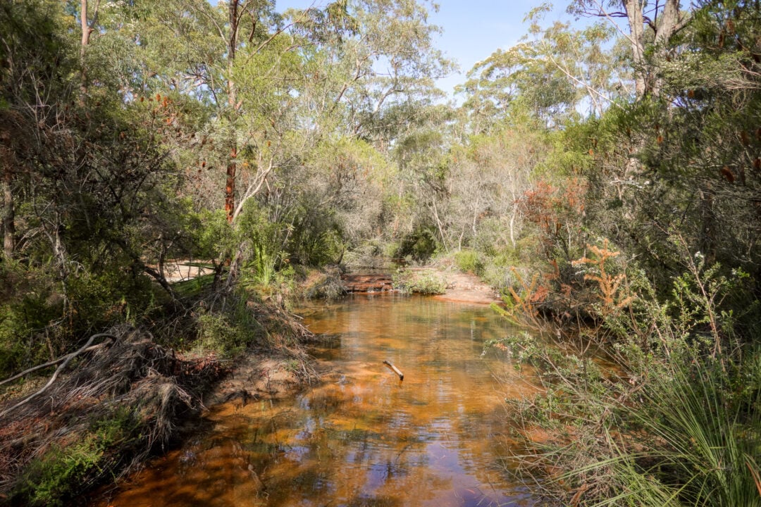 Karloo Pools & Karloo Walking Track: 17 Essential Things to Know