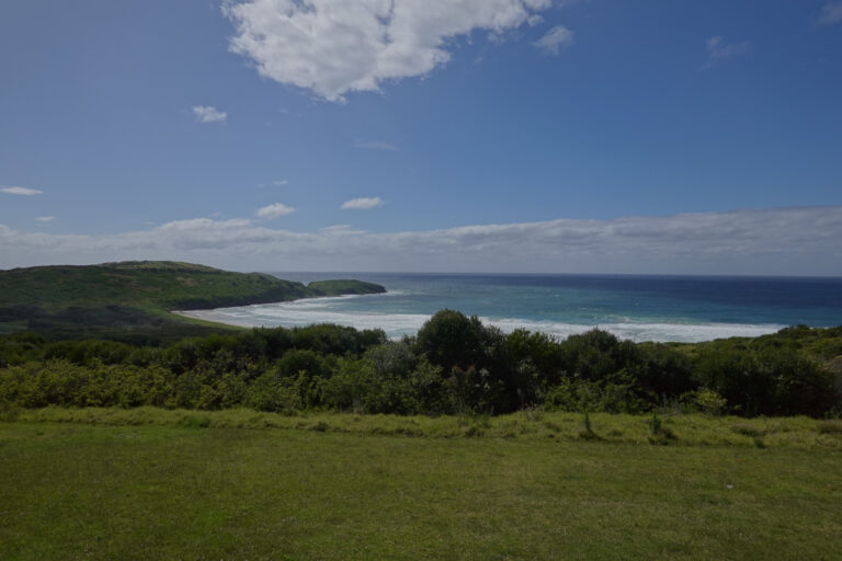 The Farm (Killalea Beach) – The Complete Visitor's Guide