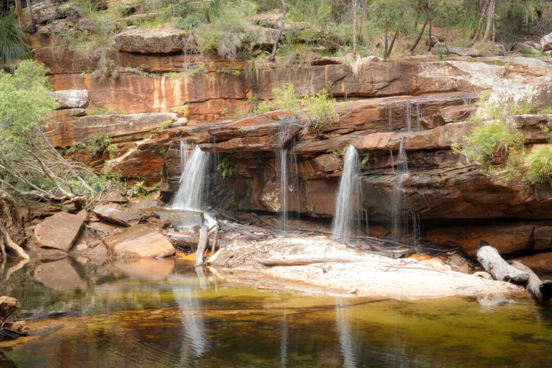 The 19 Best Waterfalls in Sydney You Must Visit (Updated [date-today ...