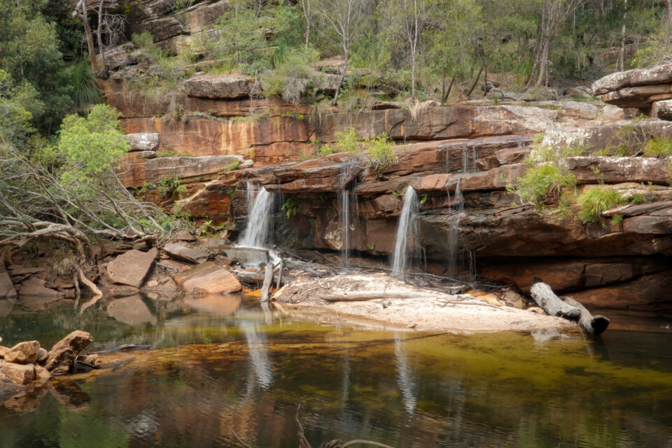 Winifred Falls, Royal National Park: The Ultimate Visitor's Guide
