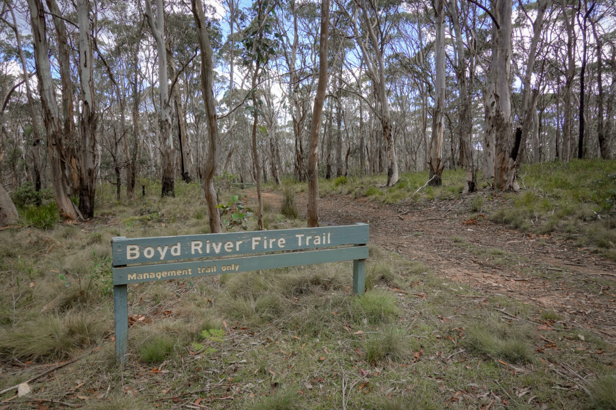 Kanangra-Boyd National Park: 10 Attractions You Have to Visit