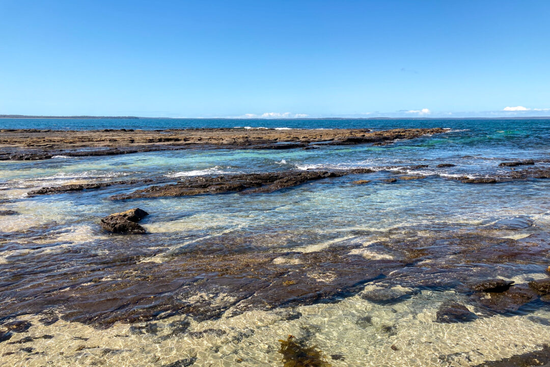 The Complete Guide To Huskisson Beach, Jervis Bay