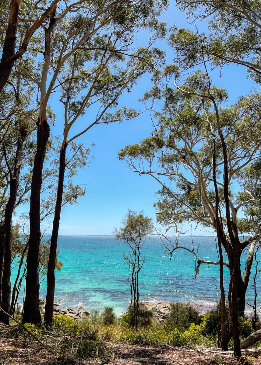 Jervis Bay Walks: 13 Easy Hikes Not To Miss