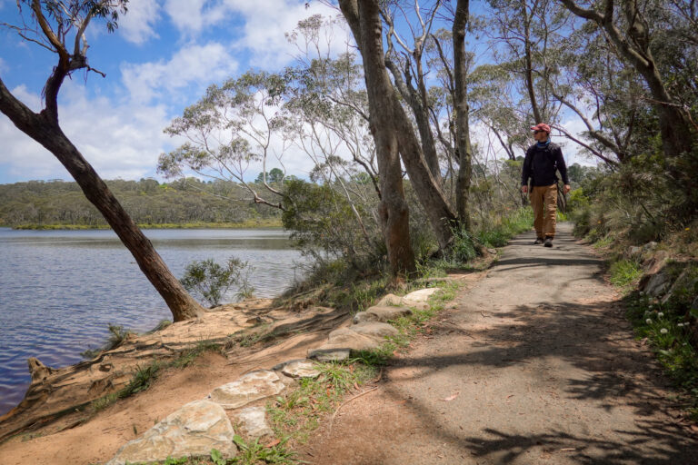 Wentworth Falls Lake Walk: Everything You Need to Know