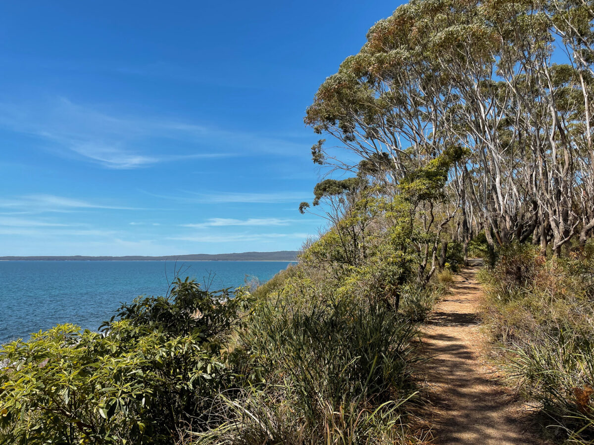 White Sands Walk: 3 Beautiful Trail Options To Explore Jervis Bay