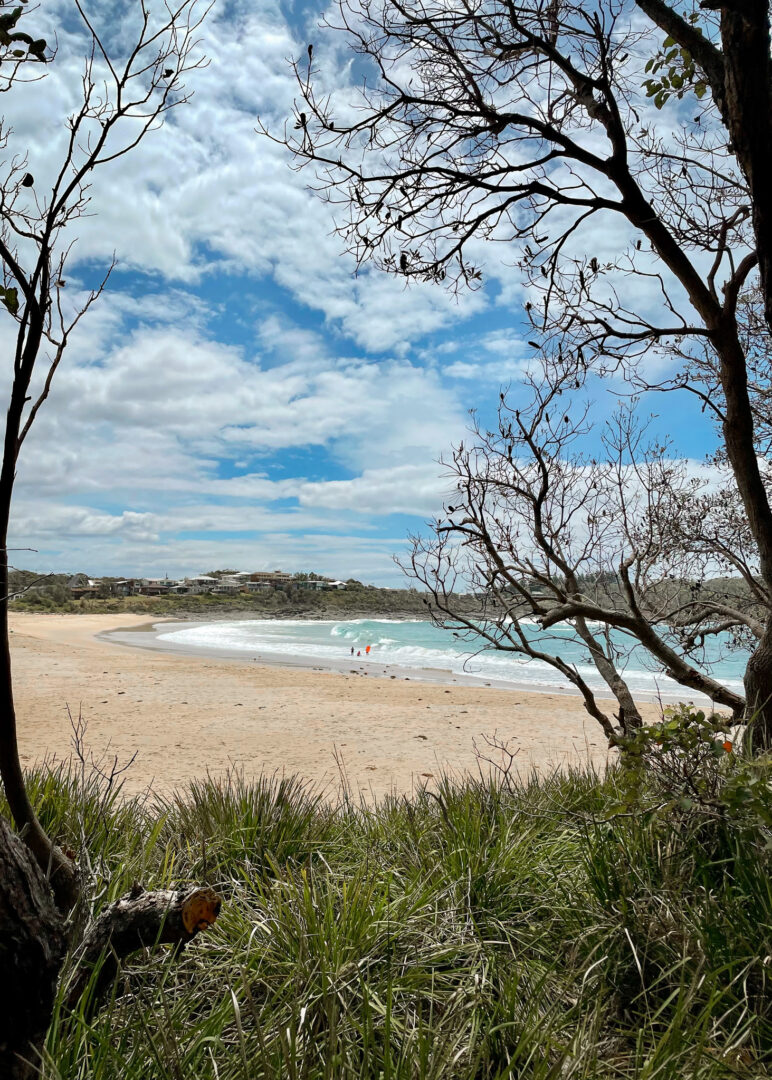 Murramarang National Park: Best Beaches, Hikes and Camping