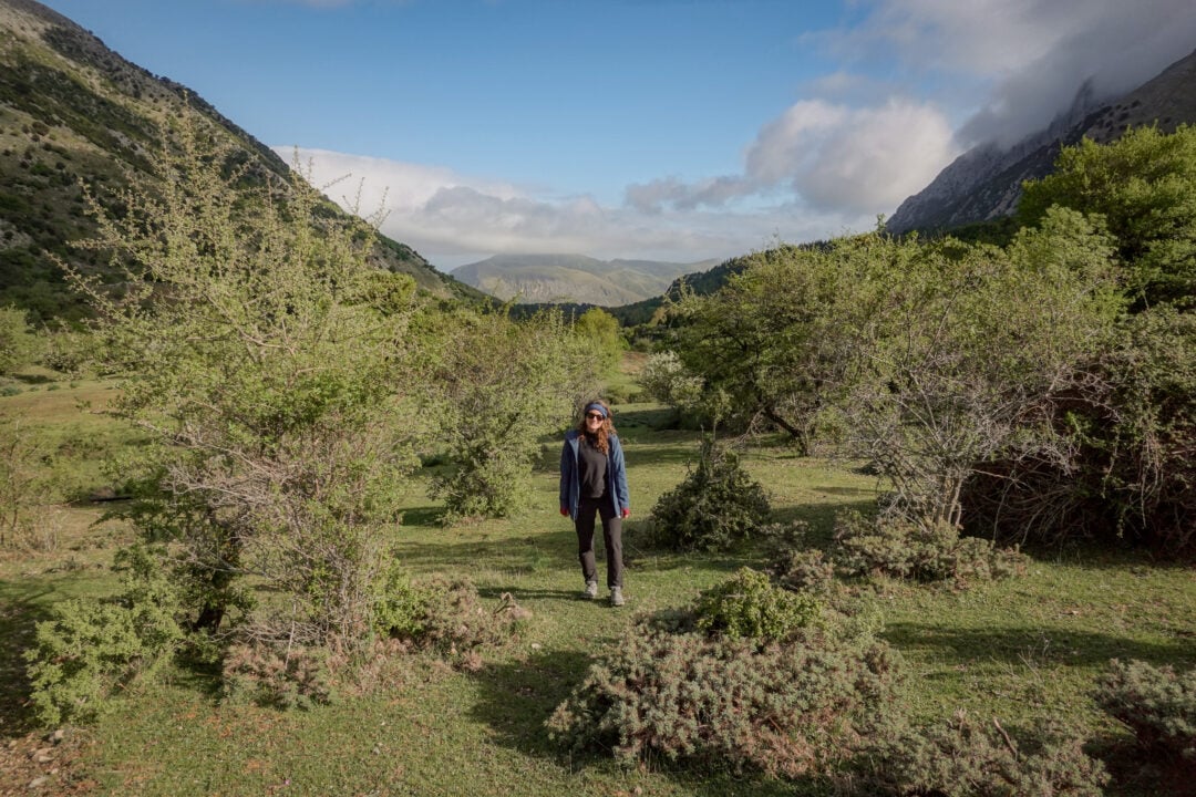 8 Best Things to Do in the Madonie Mountains in Sicily