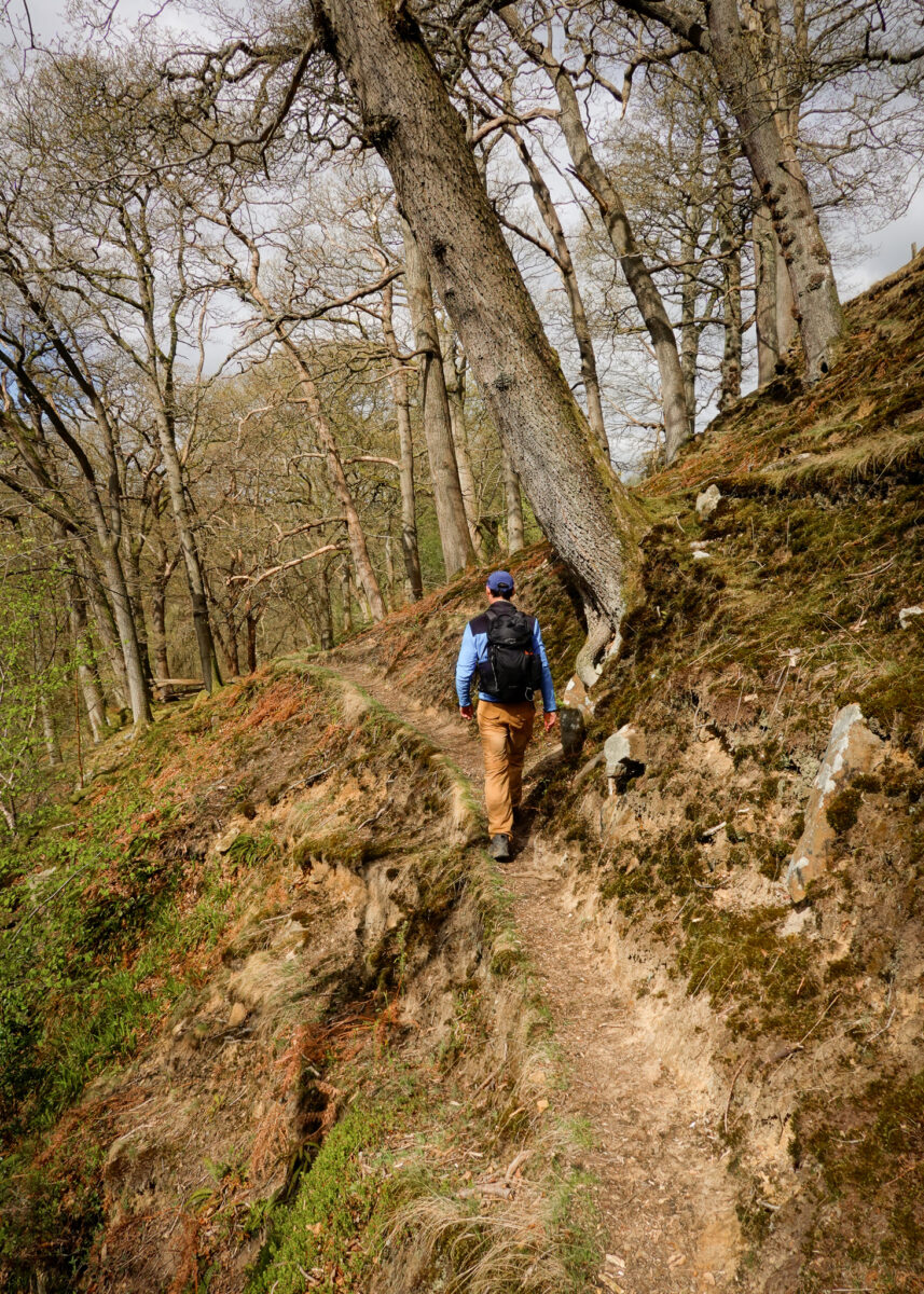 Goathland Waterfall Walk: Discover the 5 Goathland Waterfalls