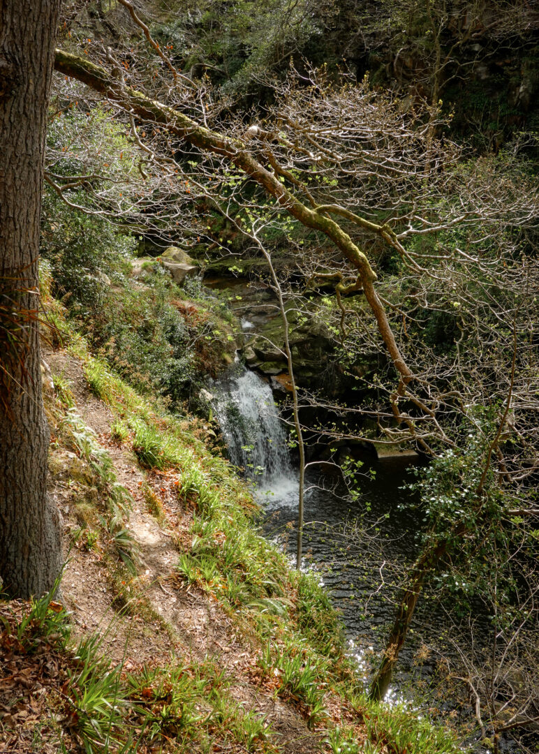 Goathland Waterfall Walk: Discover the 5 Goathland Waterfalls
