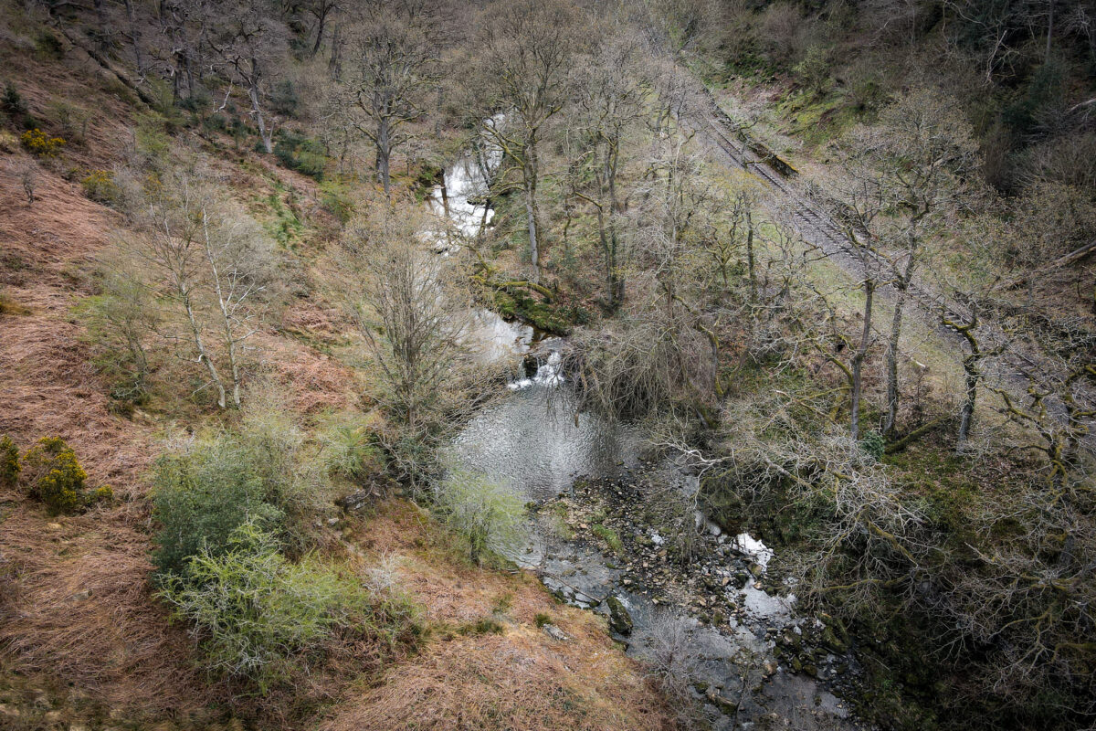 Goathland Waterfall Walk: Discover the 5 Goathland Waterfalls
